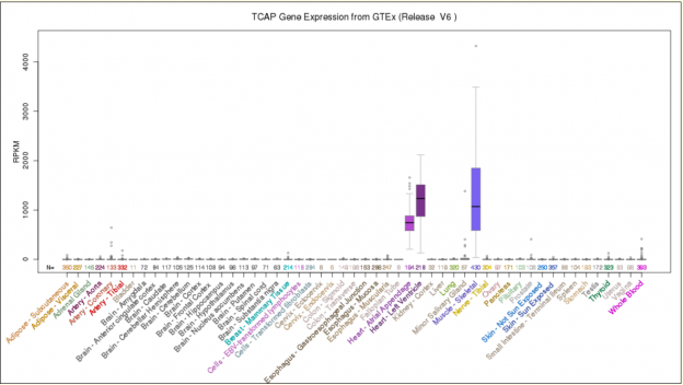 GTEx Resources in the Browser | UCSC Genome Browser Blog